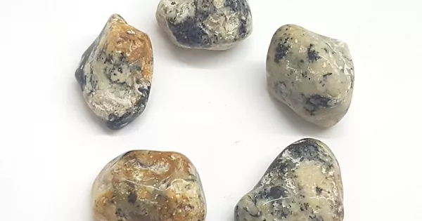 Merlinit ( agat dendritic opalizat) piatra rulata - Universul Cristalelor