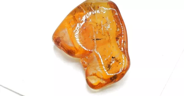 Chihlimbar cu insecte - Universul Cristalelor