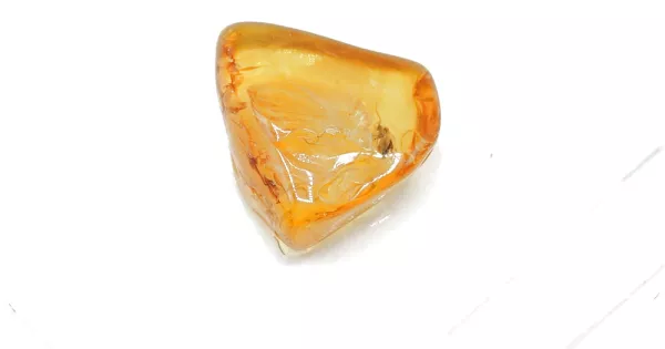 Chihlimbar cu insecte - Universul Cristalelor