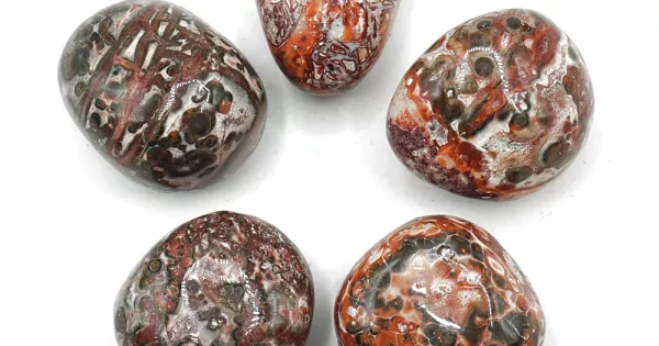 Jasp piele leopard piatra rulata - Universul Cristalelor