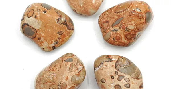 Jasp leopard piatra rulata - Universul Cristalelor