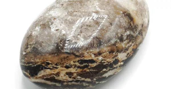 Opal negru (cappuccino) polisat - Universul Cristalelor