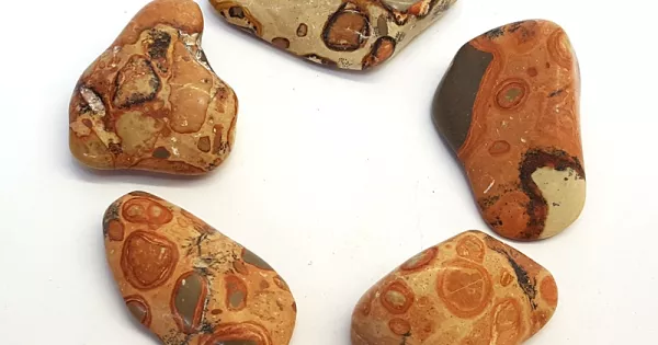 Jasp leopard piatra rulata - Universul Cristalelor